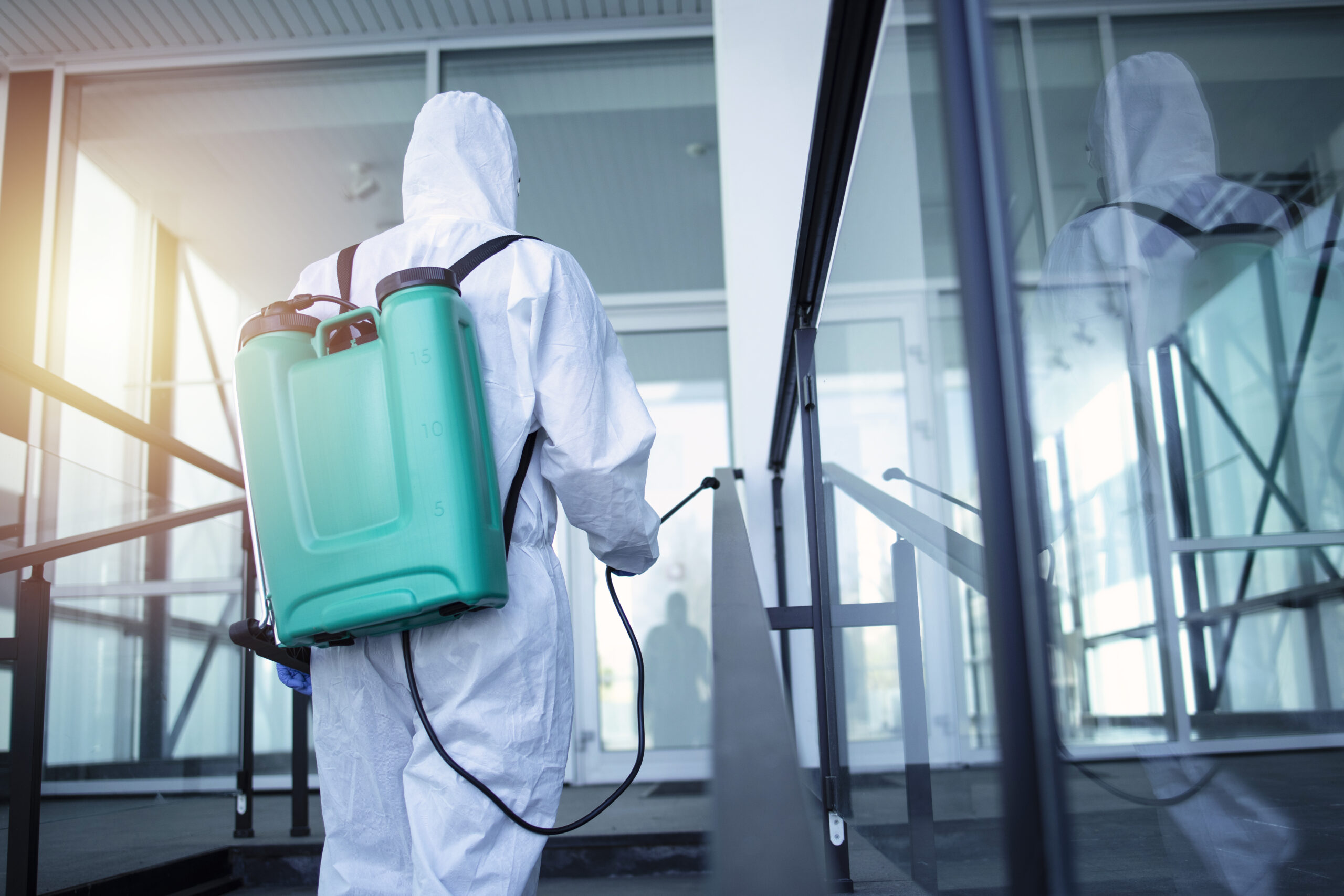About My Pest Controls | Local Melbourne Pest Experts